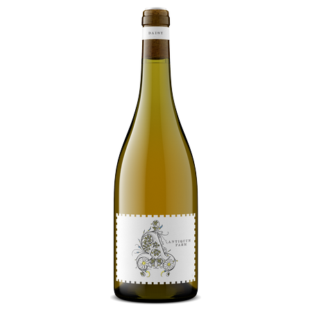 Antiquum Farm Daisy Pinot Gris - 2024 – Wardman Wines